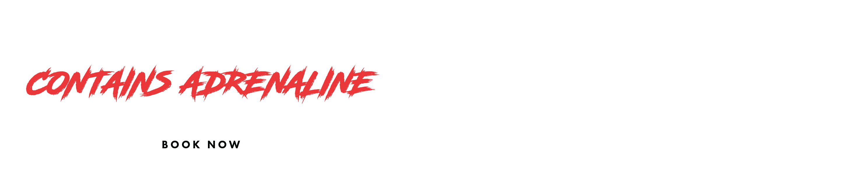 Driving Experience Gifts - Everyman Racing - ⭐⭐⭐⭐⭐